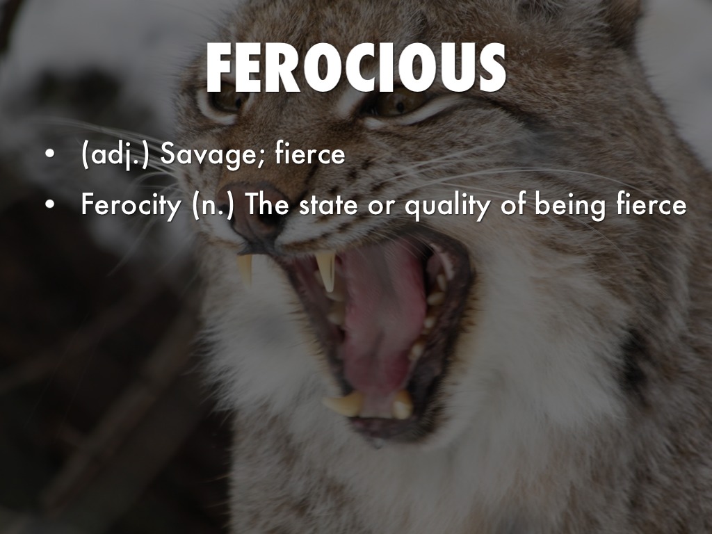 Wordly Wise Unit 3 by Ashley Edwards