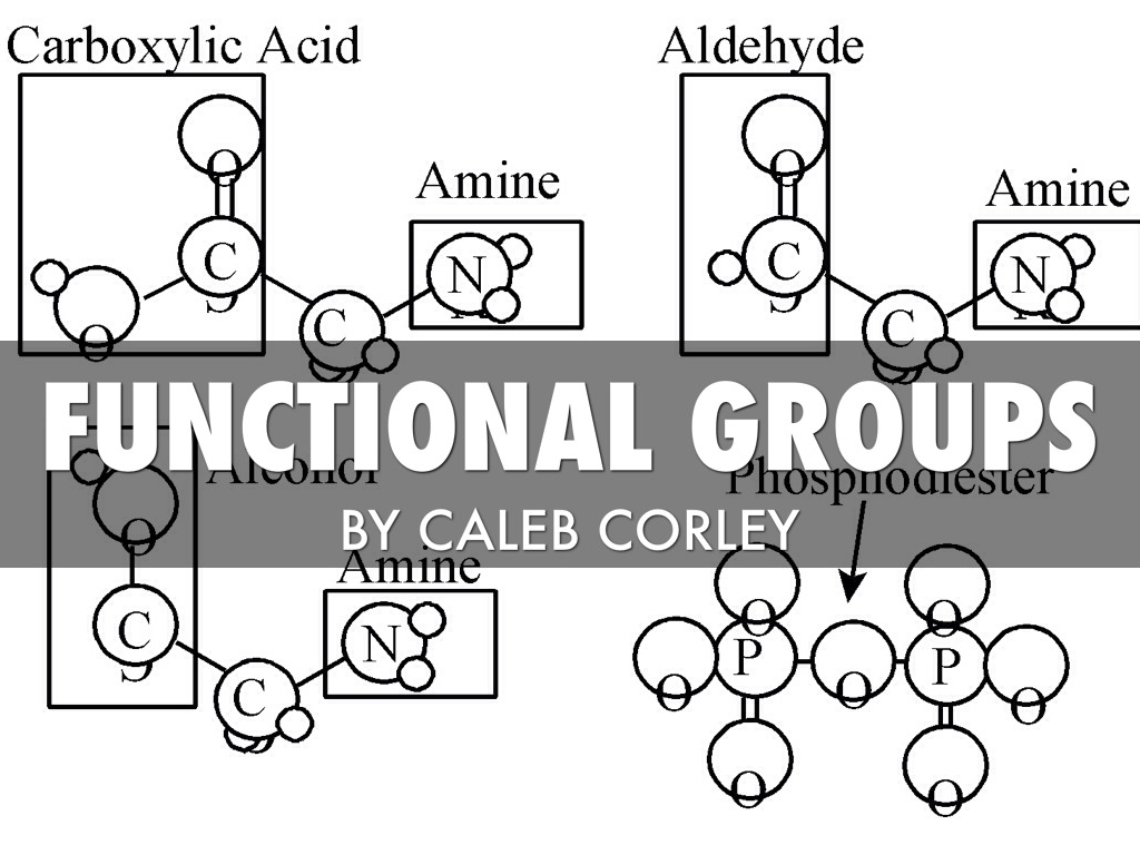 Carboxyl Functional Group Structure Sketch Coloring Page