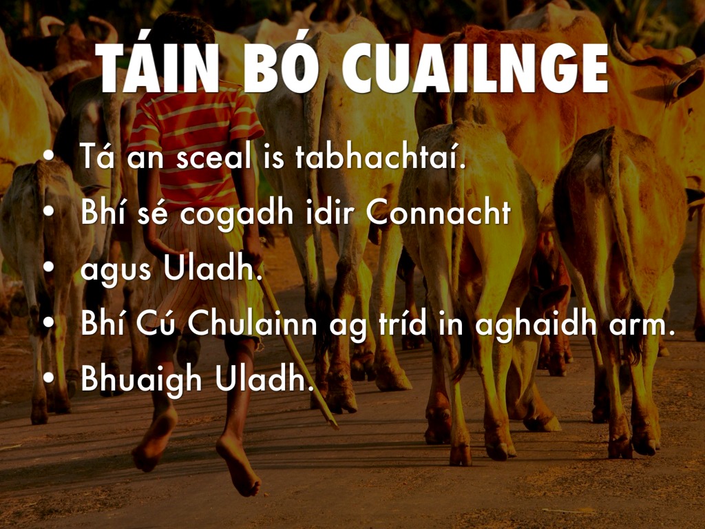 An Ruraíocht by Conor Freeman