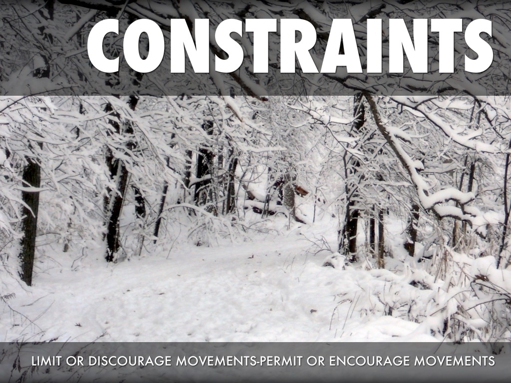 Motor Development-Chapter One by Kristen Mullady