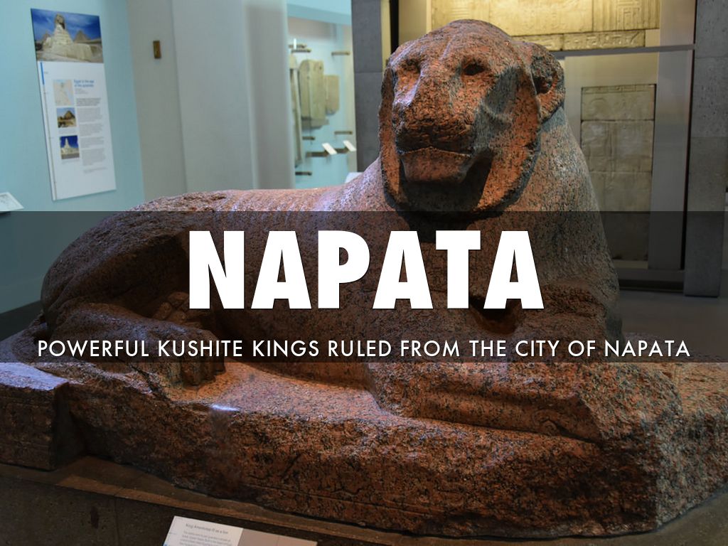 Chapter 2 Vocabulary by Darin Sisneros