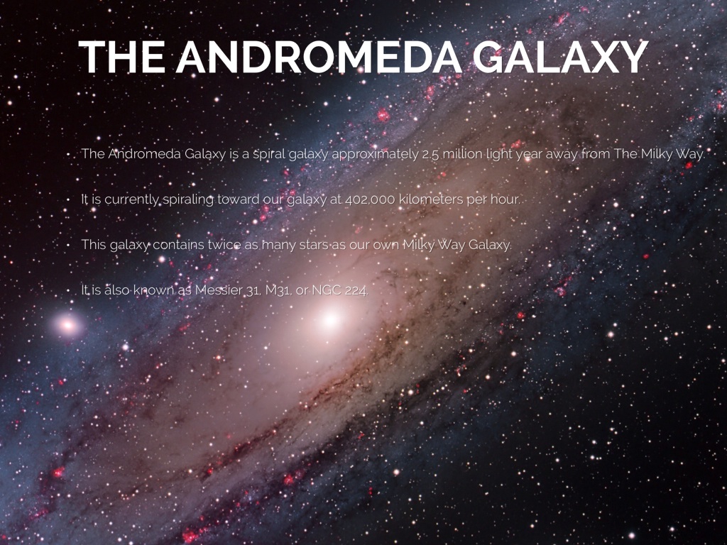 ELA by Raingsey Toch