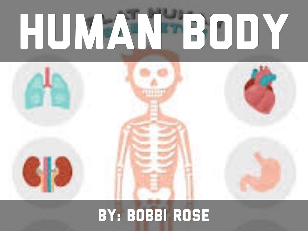 Human Body by Bobbi Rose