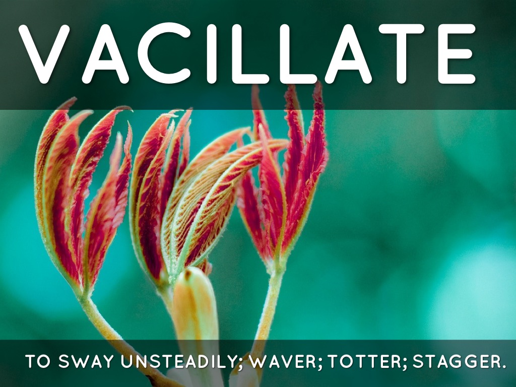 English 8 Quarter 3 vocabulary Words by Sam Hasan