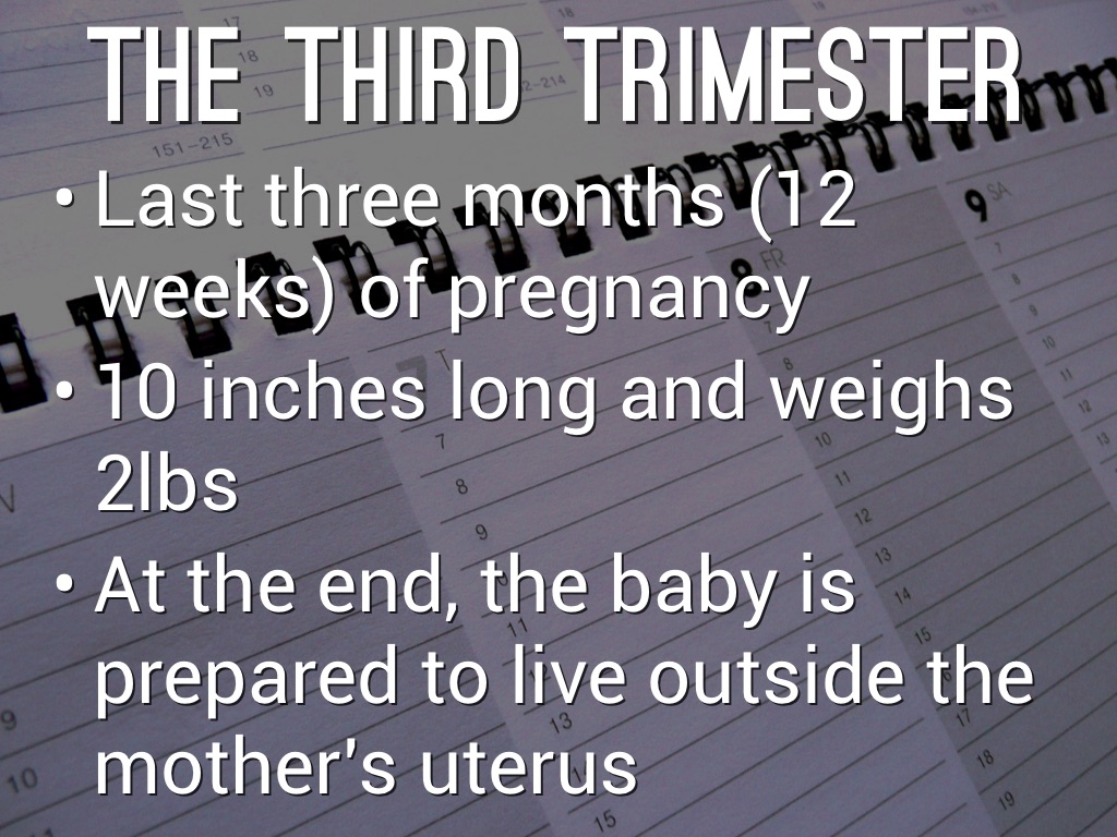 The Trimesters Of Birth by Alyssa O'brien