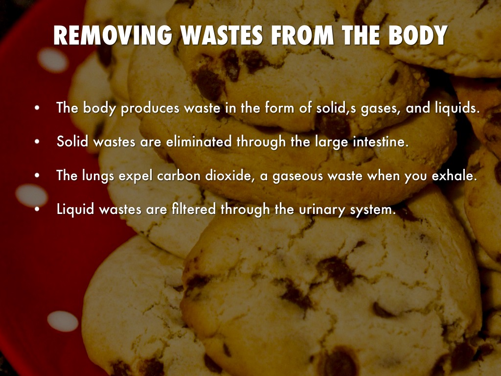 Chapter 17 Section 1 by jamiejeter9