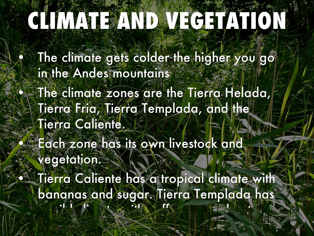 South America by Mitchel Wells