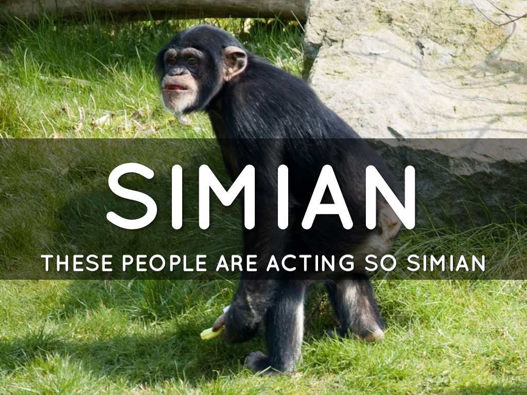 Quarter 1 Vocabulary by Kyle Rodriguez