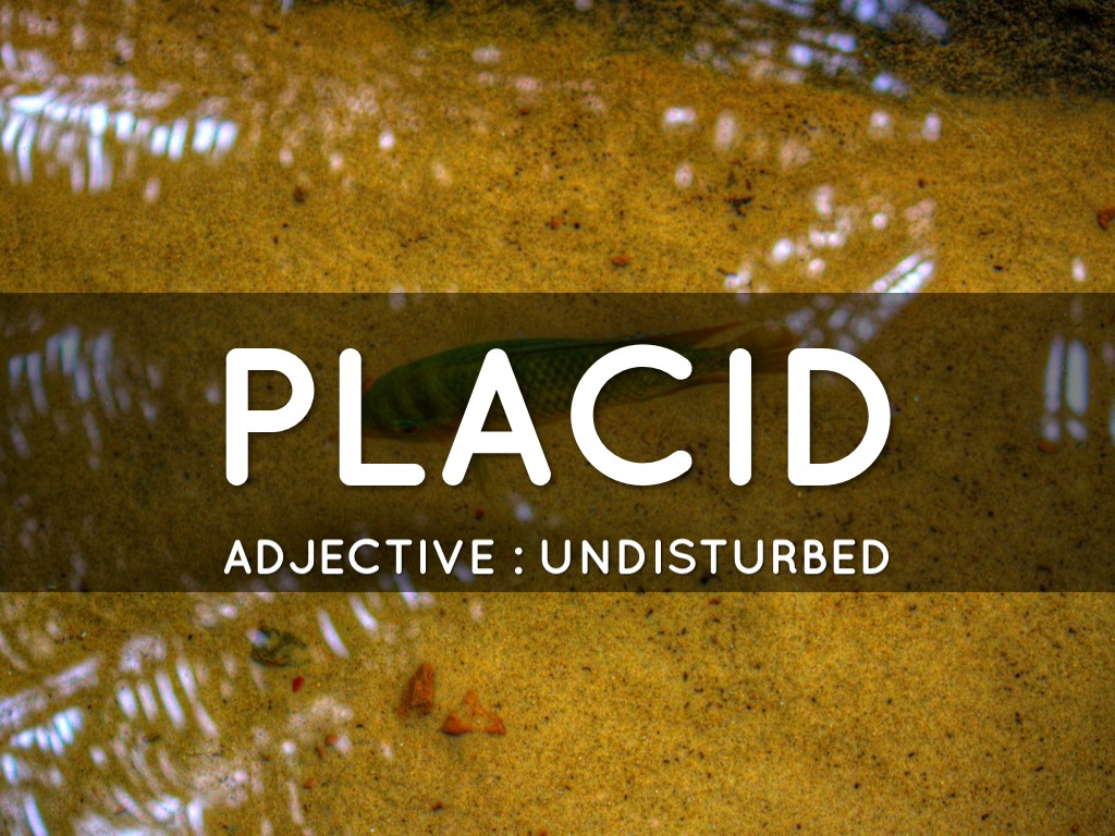 Vocabulary by Jonnie King