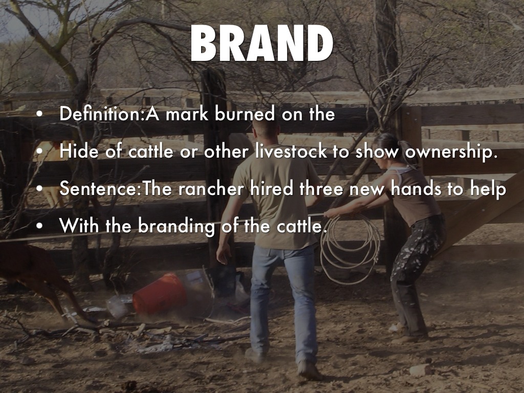 Cattle Lydia Par by lydia Par