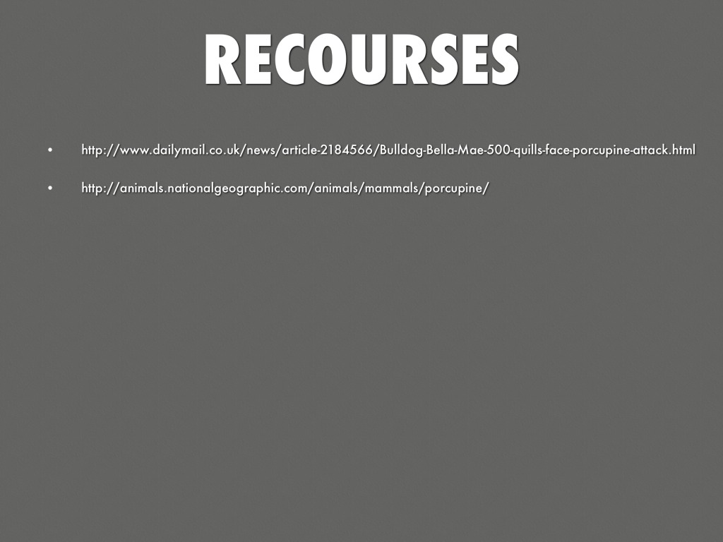 Porcupines by Jaden Rolffs