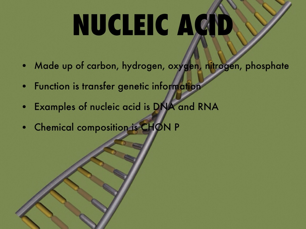 Macromolecule Mini project by Stephany Meade
