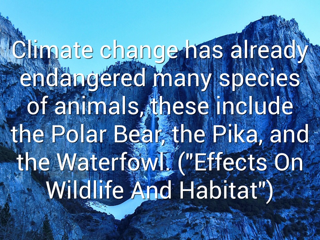 Climate Change by Jacob A