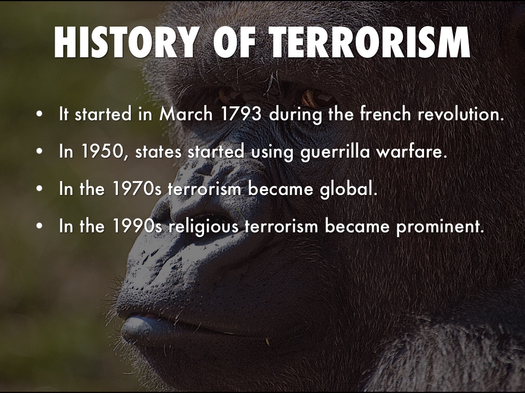 Terrorism by Abby Ness