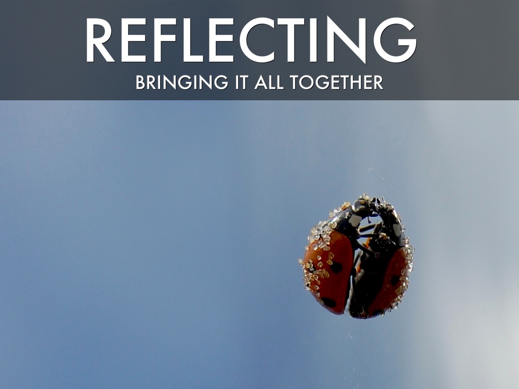 OLTD 503 Final Assignment by Marieke Holtkamp