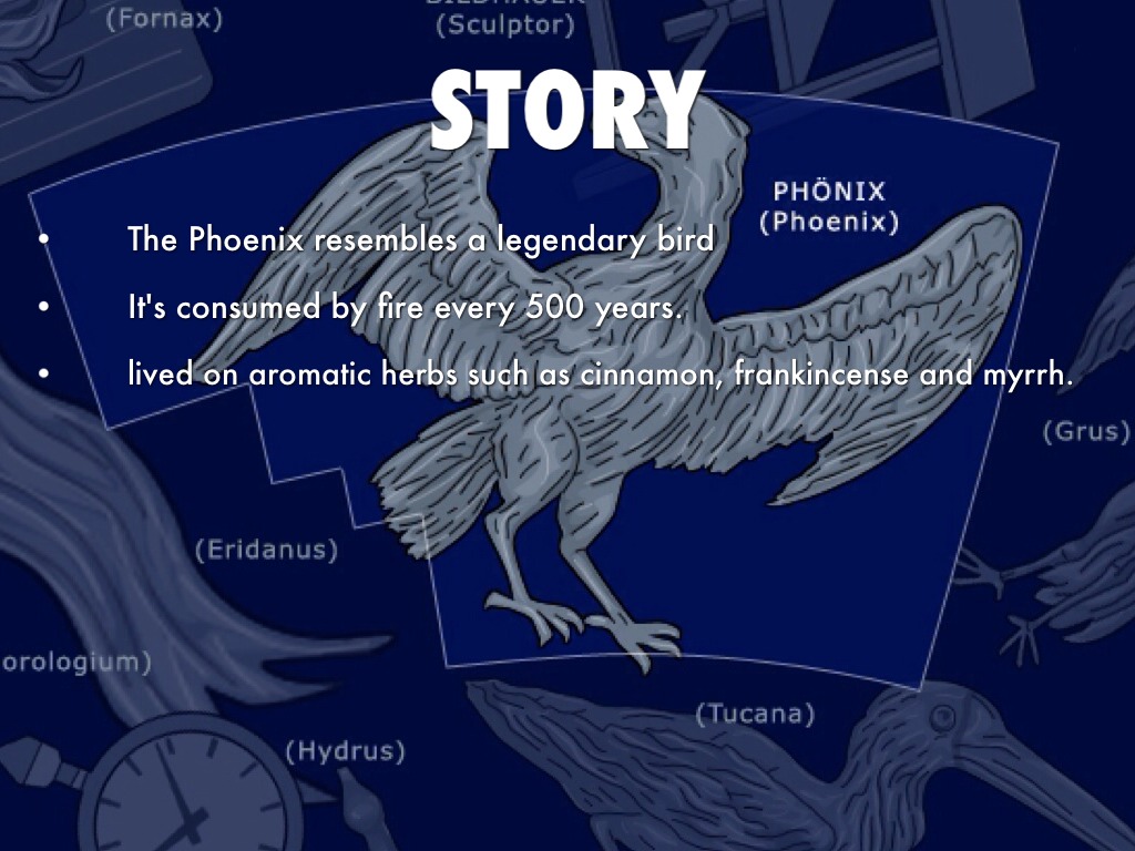 Pheonix by Parker Wilson