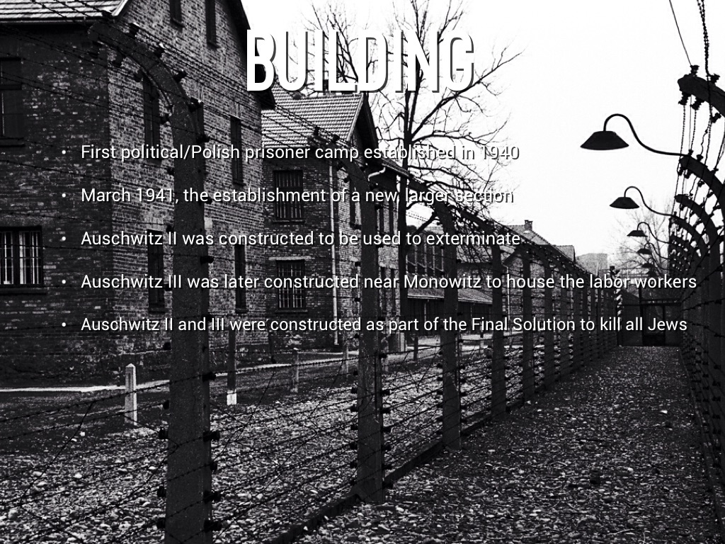 Auschwitz by Emily