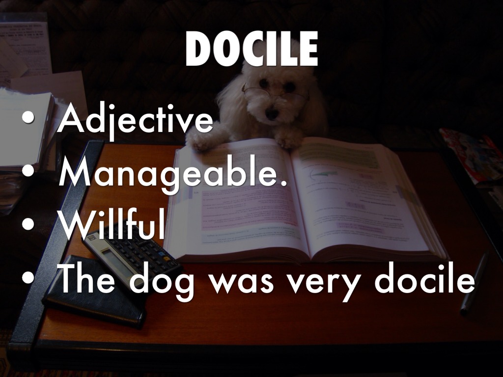 Vocabulary Review by Tyler Hood-newsom