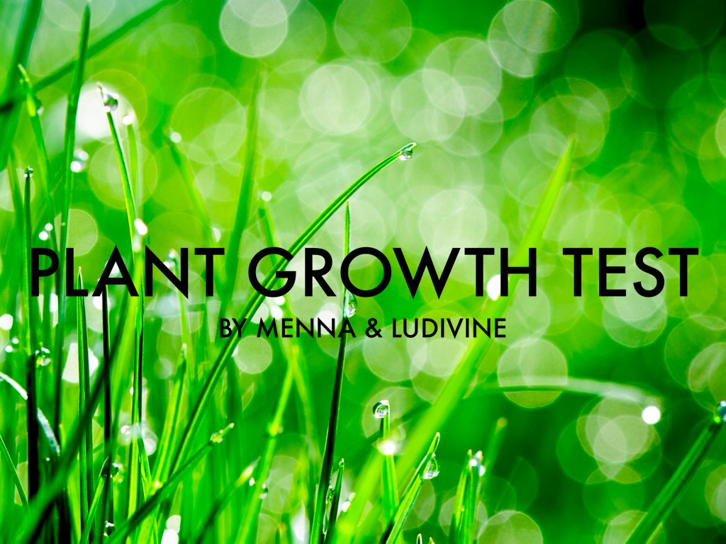 Plant Growth Test by Ludivine Barbier