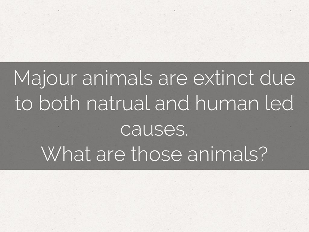 Extinction by sami.rashid