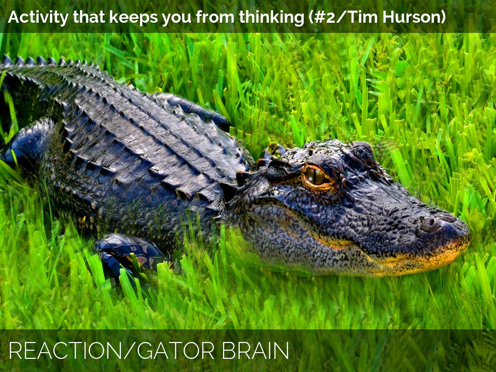 Copy of Copy of Breaking Barriers with Creativity and