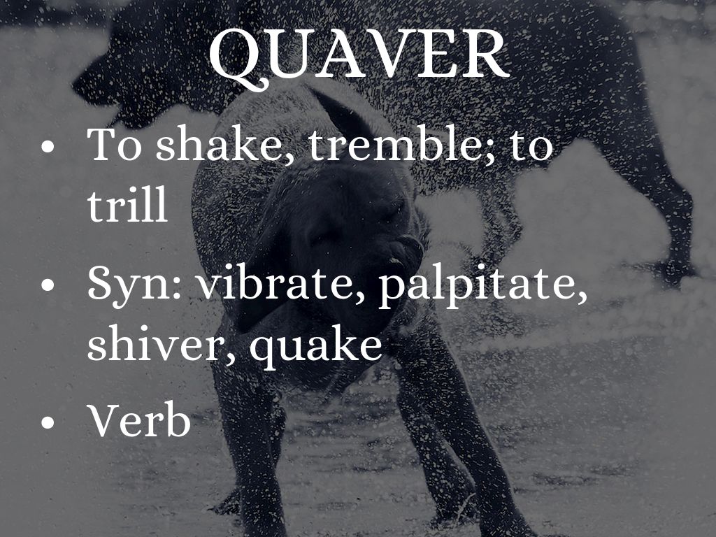 Vocab Unit 11 by Rick Naylon