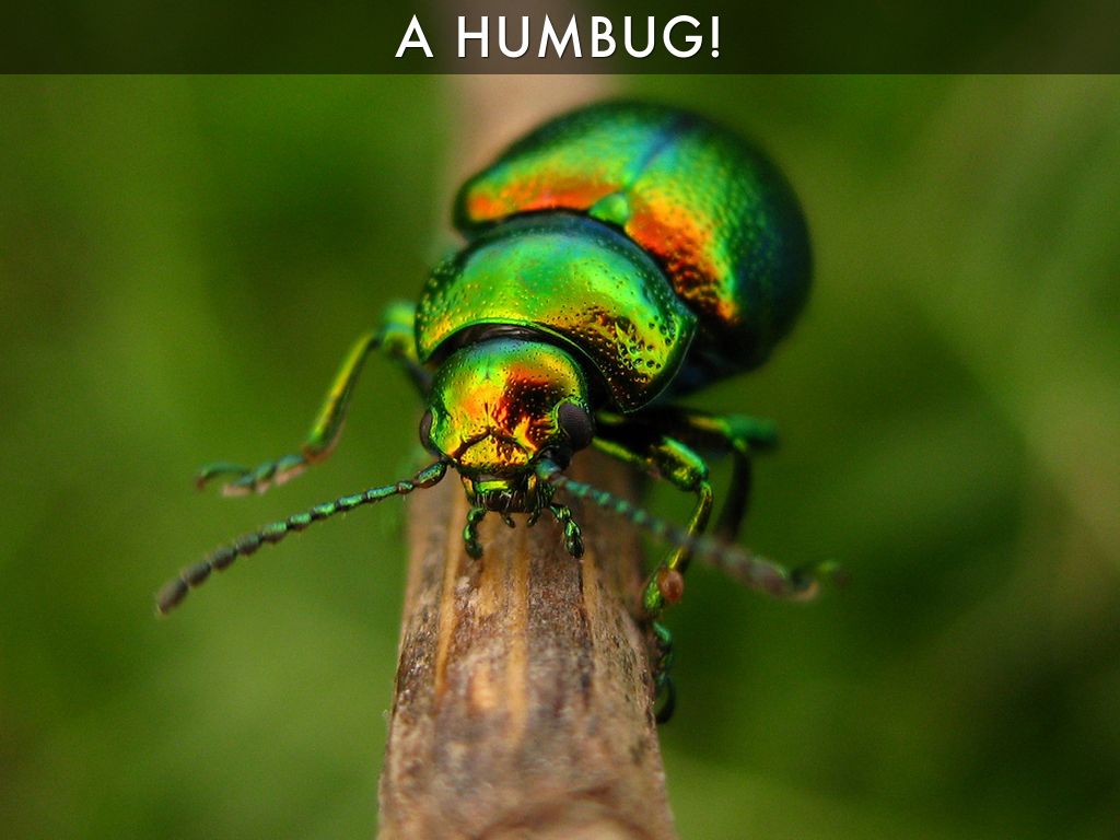 Nativity I by Valerie Marcum