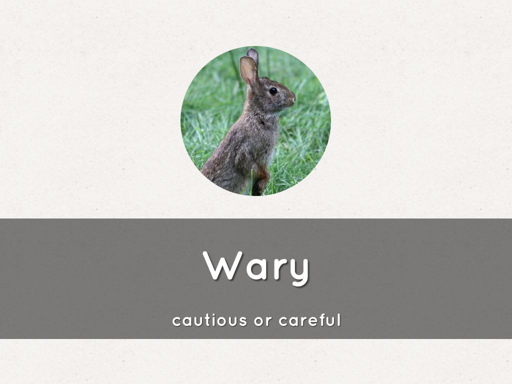 ETHAN Flowers vocab by Sarah Irvin