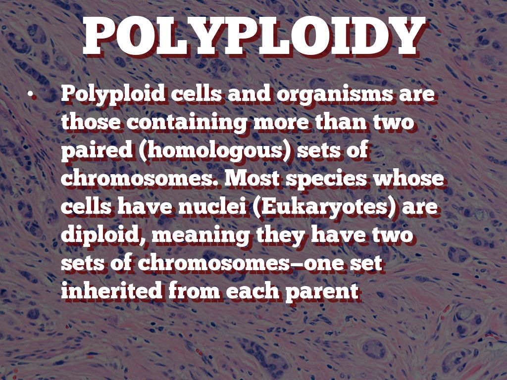 Polyploidy In Humans