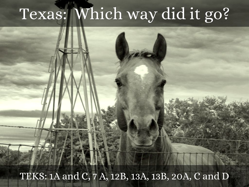 Urbanization of Texas by connie.butcher