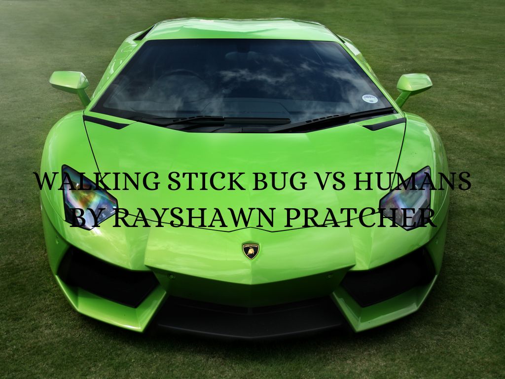 Walking Stick Bug vs Humans by p.rayshawn