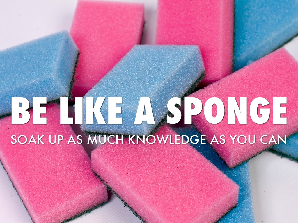 Sixth Grade @ Cardigan by Mark Holt