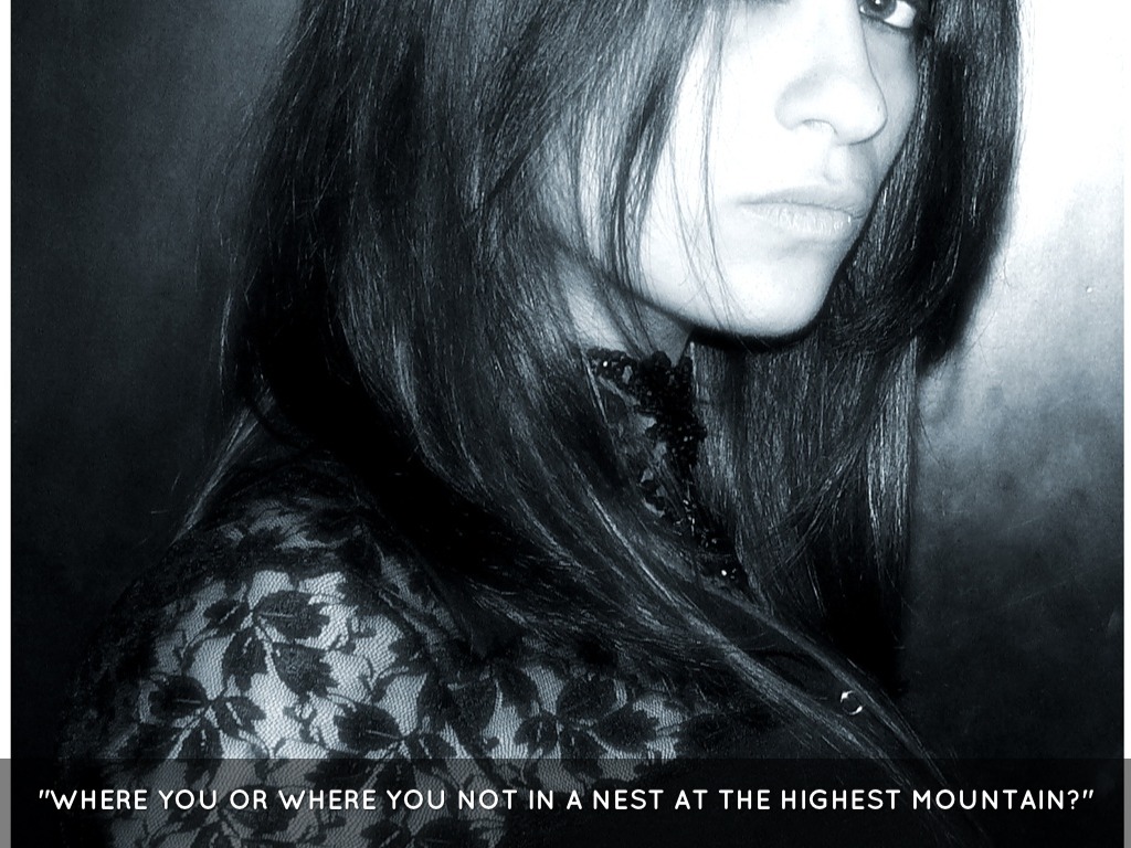 12 Windows by Vasileia Vaxevani