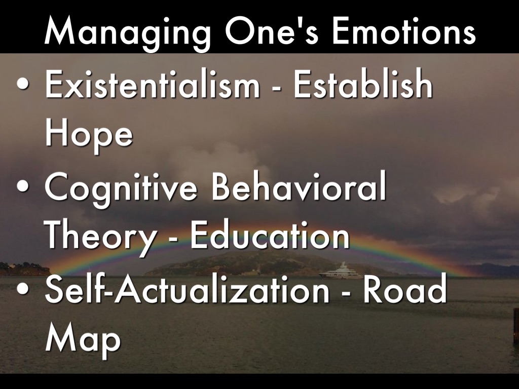 Managing One's Emotions by Diane Greer