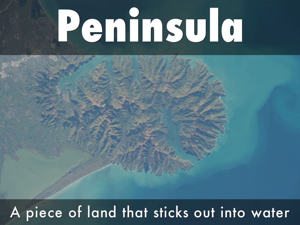 Chapter 6 Vocab by cgoodridge