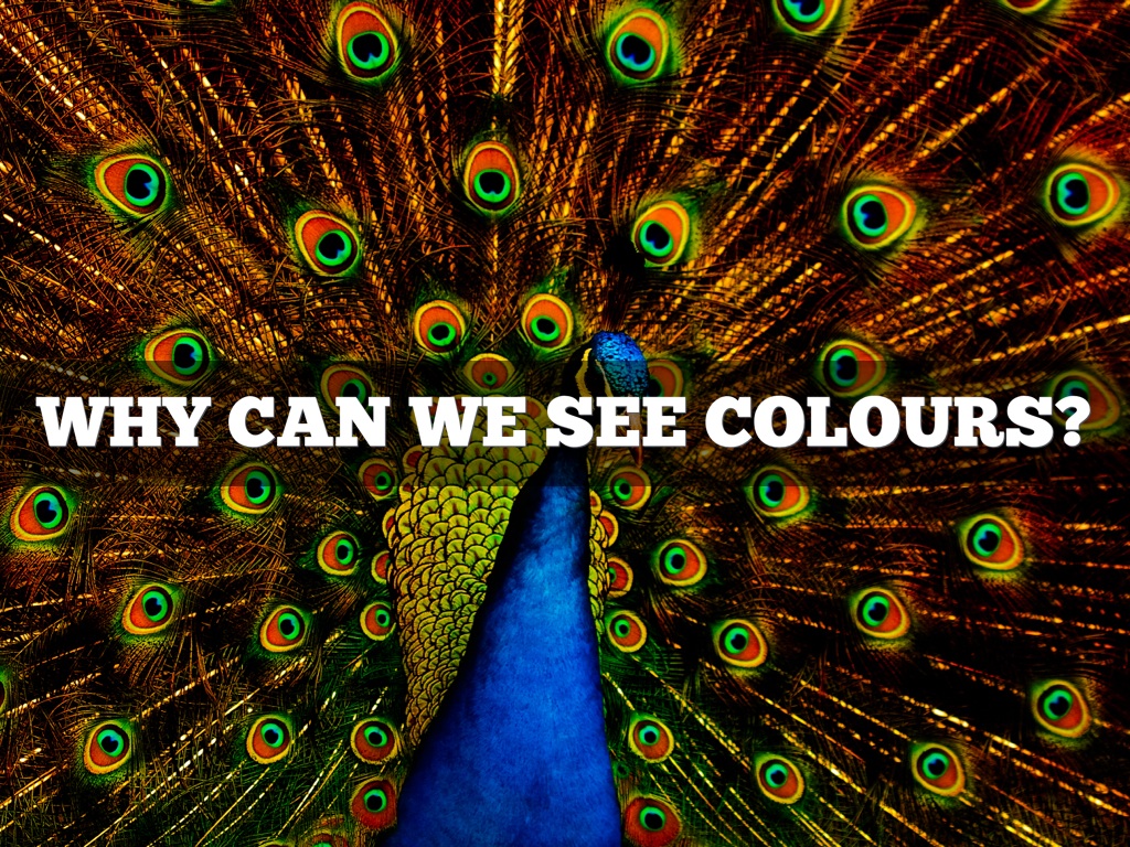 Science: Big Question by Dragan Wilms