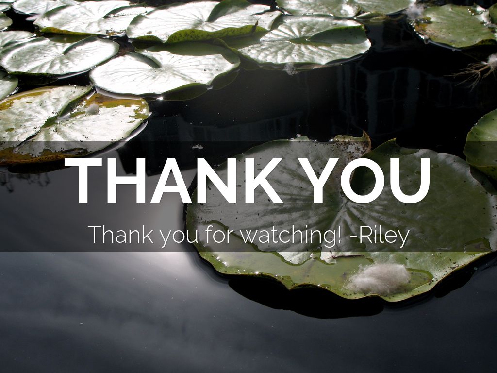 Ecosystem Vocab by riley.sesher