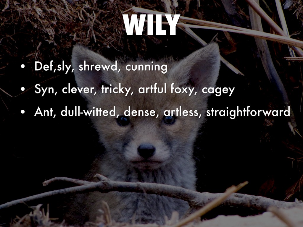 Unit 12 by osullivanmichael639