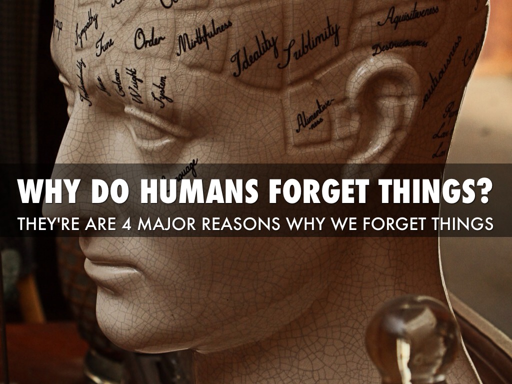 Passion Project by zachary.torgerson