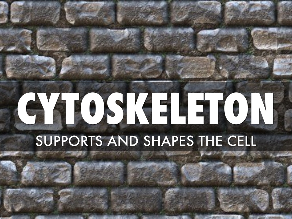 The Cell Is Like A Castle Campanella Shepherd Period 4