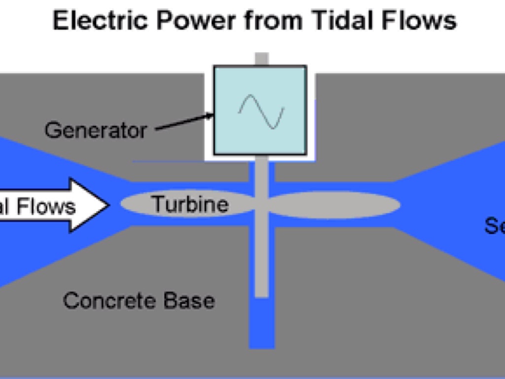 Abby Cashion by Tyler Musick