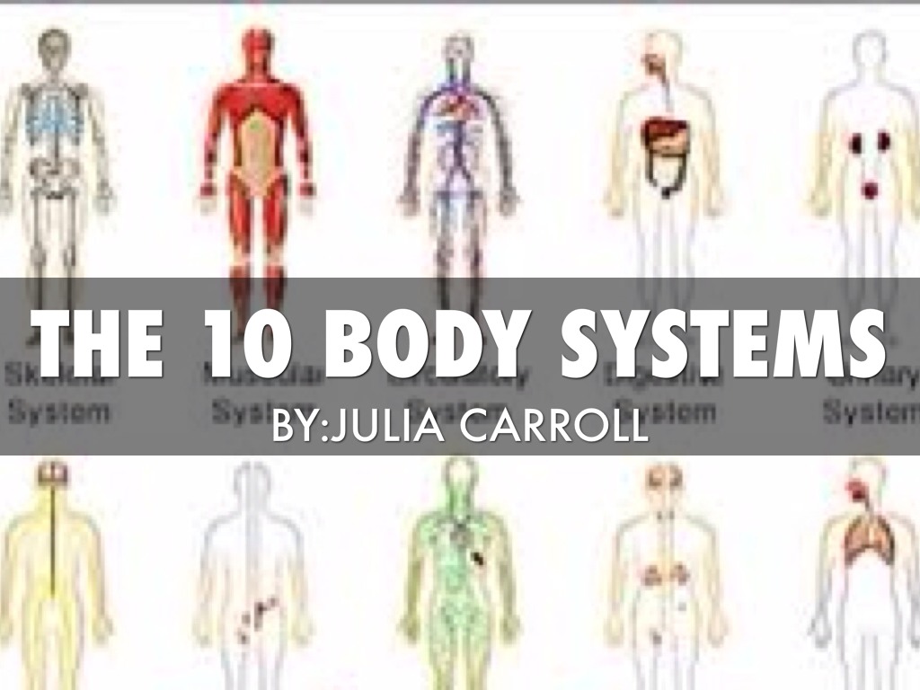 10BodySystems By Julia Carroll