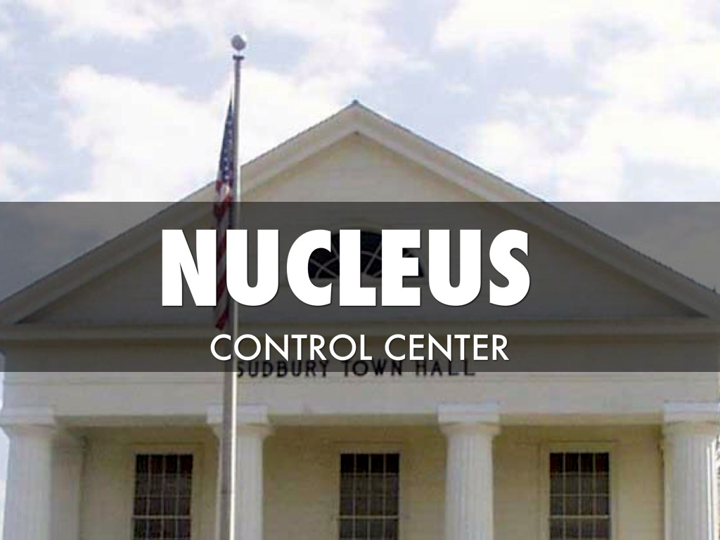 The Cell Is Like A City Sims Yakhshi Tafti Period 5 by