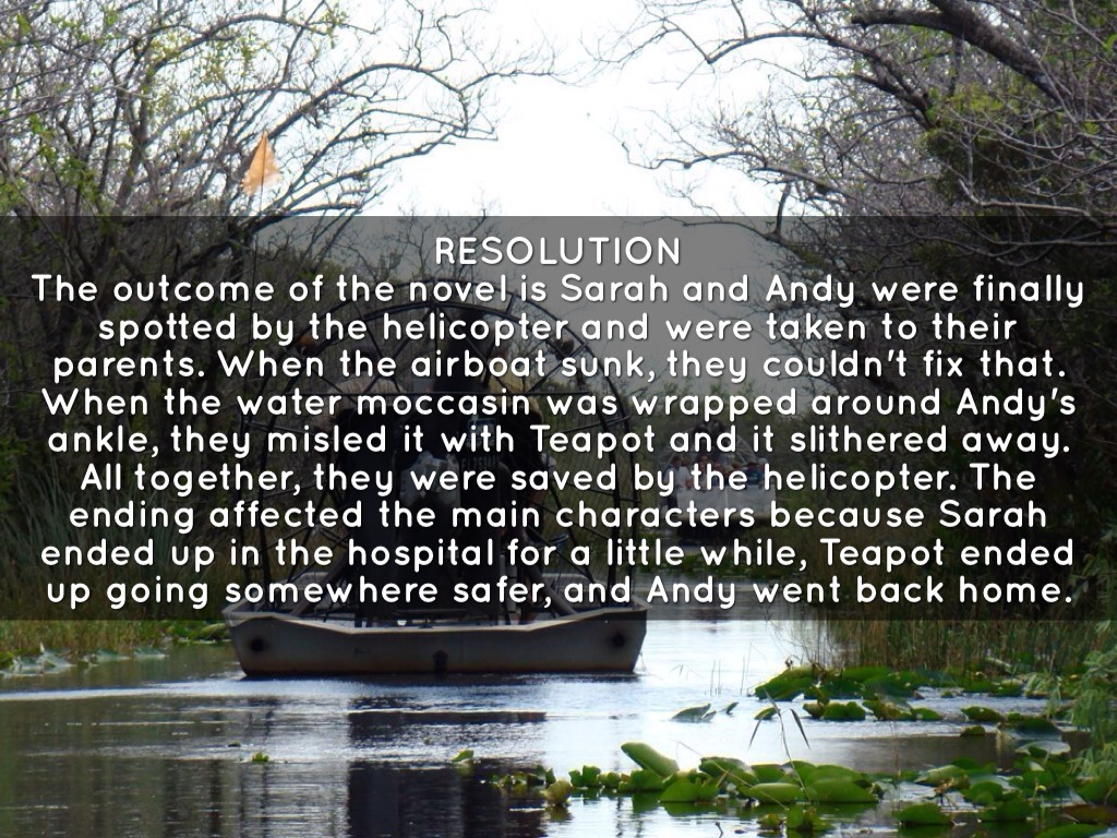 Lost in the River of Grass by Kaleigh Davis