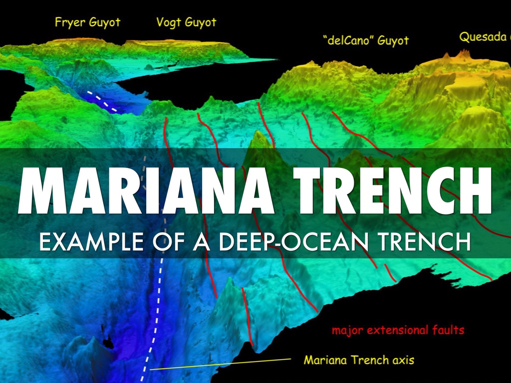 Plate Tectonics by Simran Patwa
