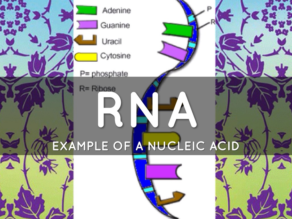 Macromolecules by Mikaela McGee