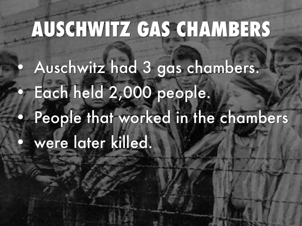 The Final Solution by Camryn Tate