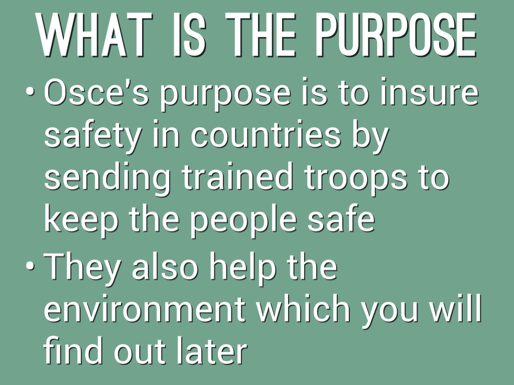 Organization for Security and CO-OPERATION in Europe