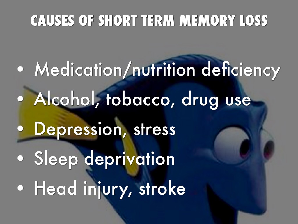 Short Term Memory By Caydon Neahusan