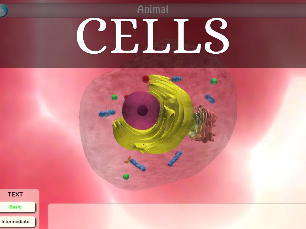 Lysosomes By Aaron Hubler lysosomes-by-aaron-hubler